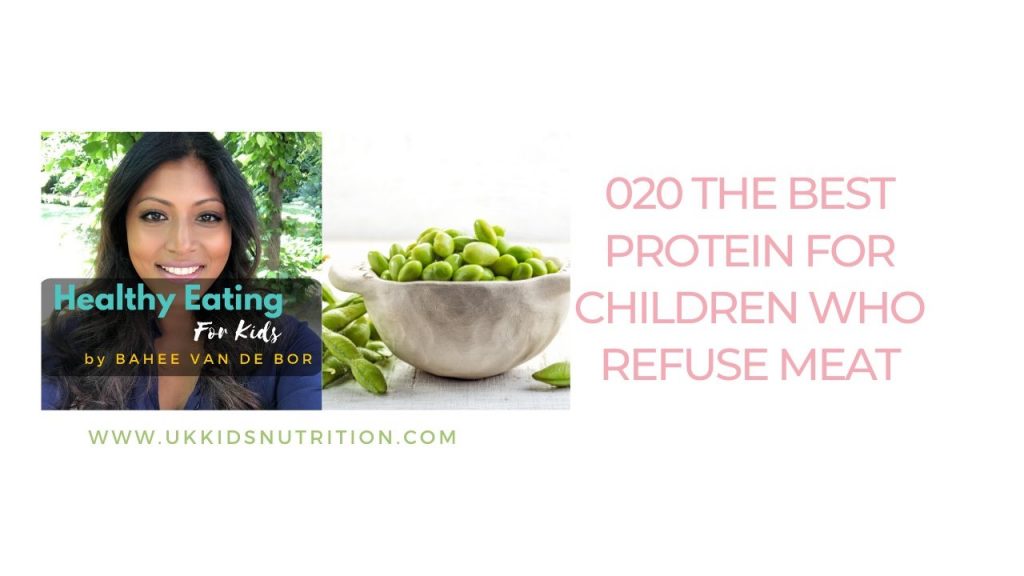 The Best Protein For Children Who Refuse Meat | Bahee Van de Bor