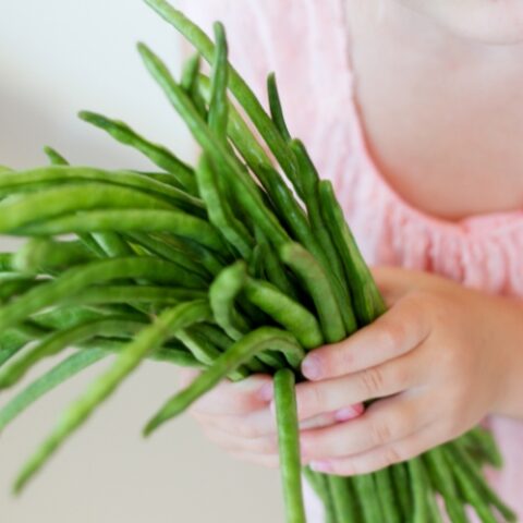 Are Green Beans Low FODMAP? Parents Guide | Bahee Van de Bor