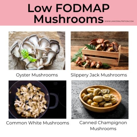 Mushroom FODMAP Levels Demystified: For Kids With Tummy Troubles | Bahee Van de Bor